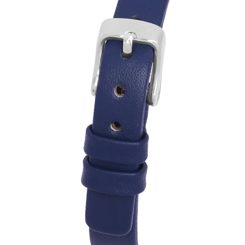 Titan Raga Viva White Dial Stylist Ladies Watch- 2608SL01 | Watch Shop BD